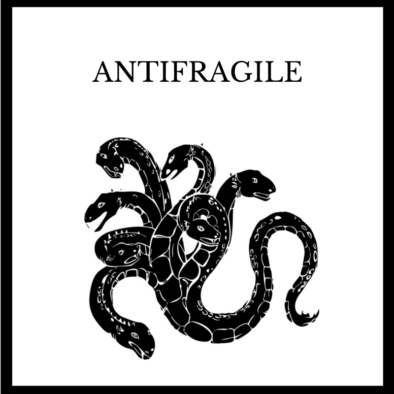 [photos] 안티프래질(anti-fragile) - 윤순봉의 서재